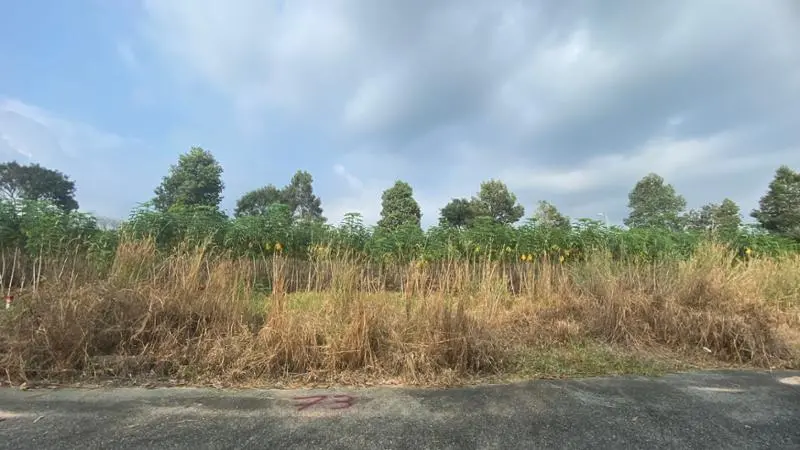 R1_Đất tại Xã Long Thọ, Huyện Nhơn Trạch, Đồng Nai - TĐS 73